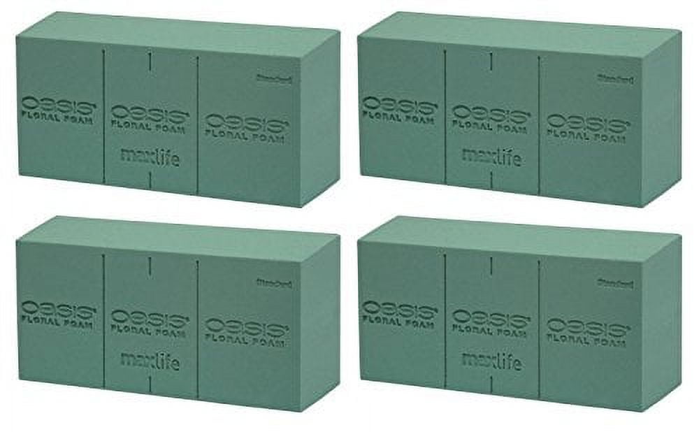 Oasis Floral Maxlife Standard Foam Bricks, Green (Pack of 4) - Walmart.com