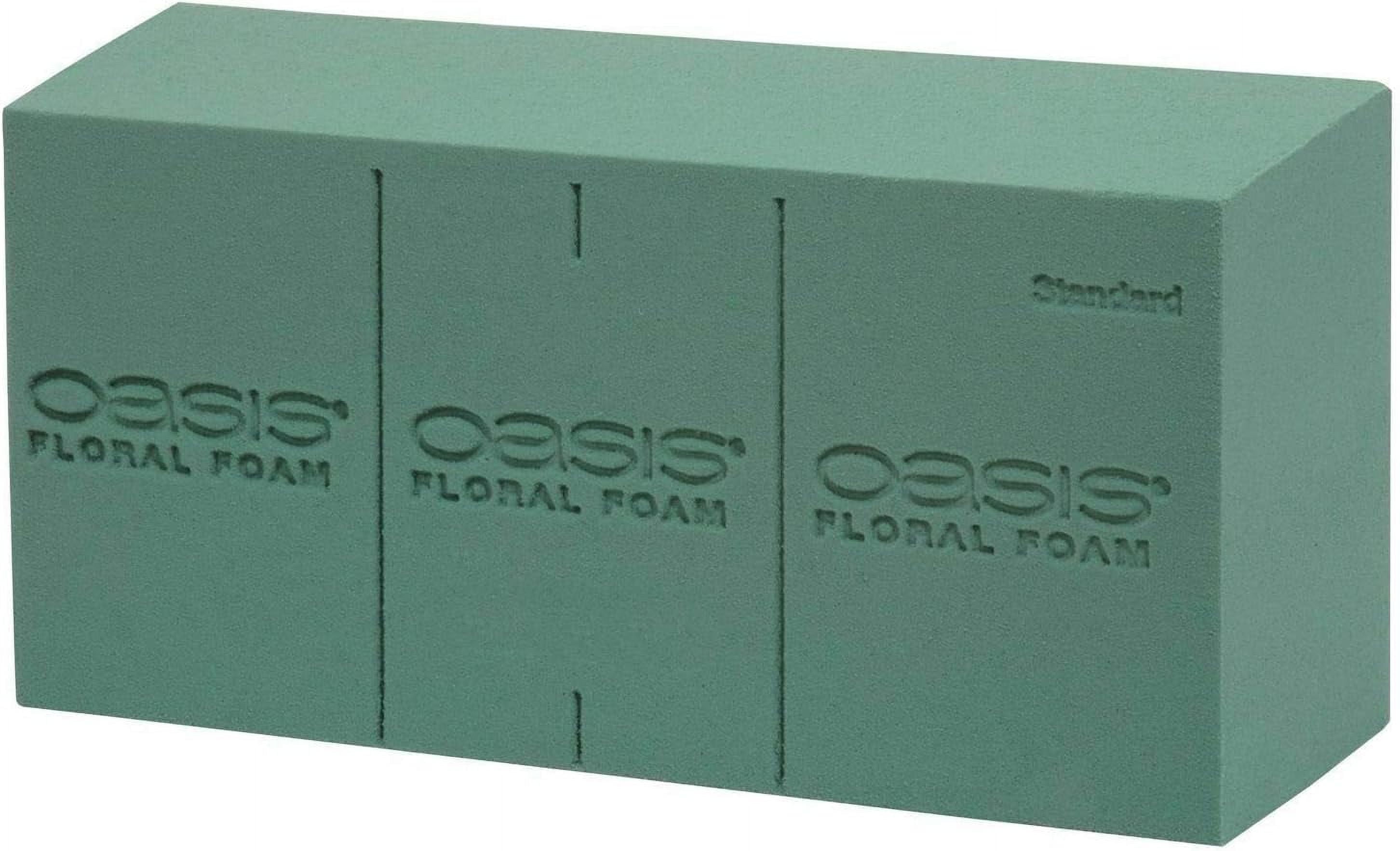 Oasis Green Foam Brick Craft Bases, 8 Count - Walmart.com