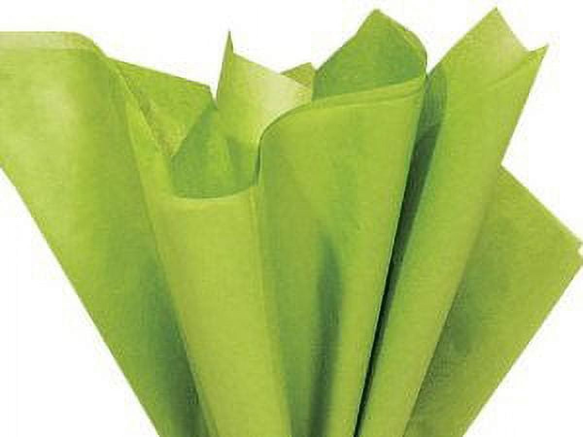 Oasis Green Tissue Paper 20 Inch X 30 Inch Sheets Premium Gift Wrap ...