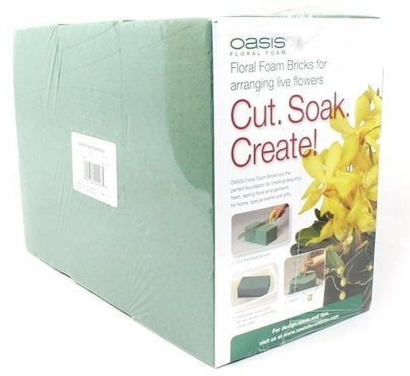 Oasis® Pack of 6 Standard Floral Foam Bricks - Walmart.com