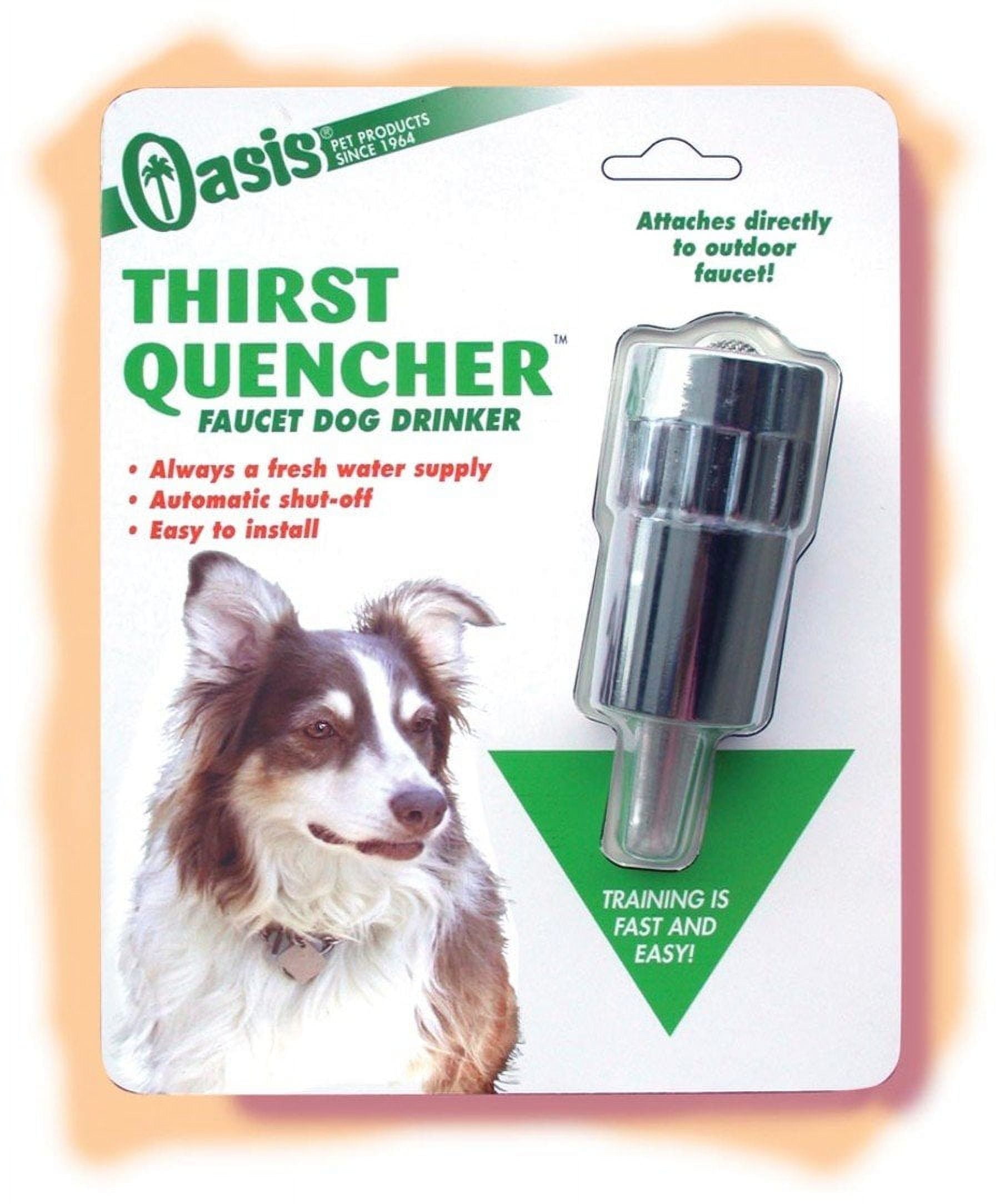 Oasis Thirst Quencher Auto Continuous Water Pet Faucet Dog Waterer ...