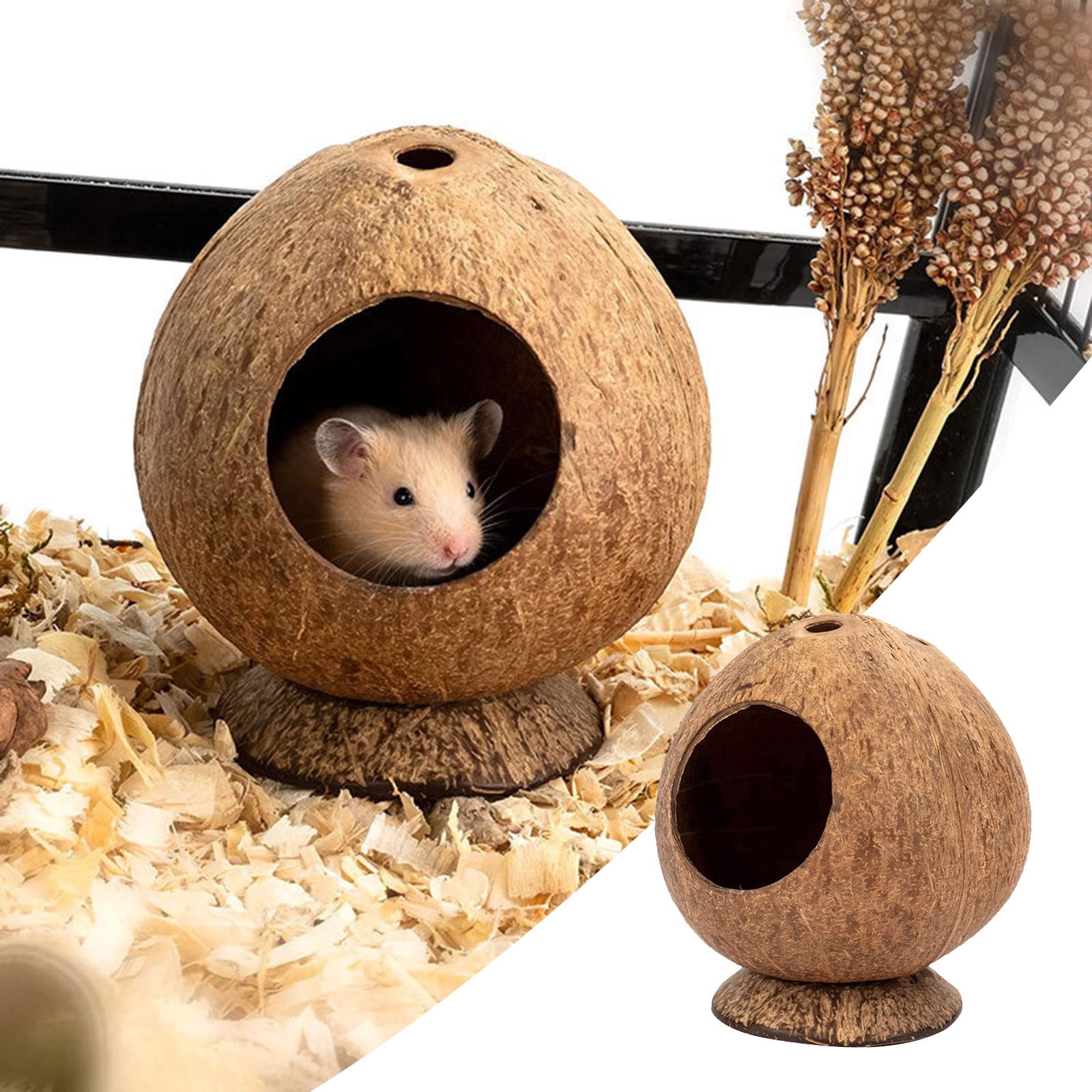 Oat Sprays Hamster Pig Exercise Wheel Baby Rabbit Rabbit Yogurt Rice ...