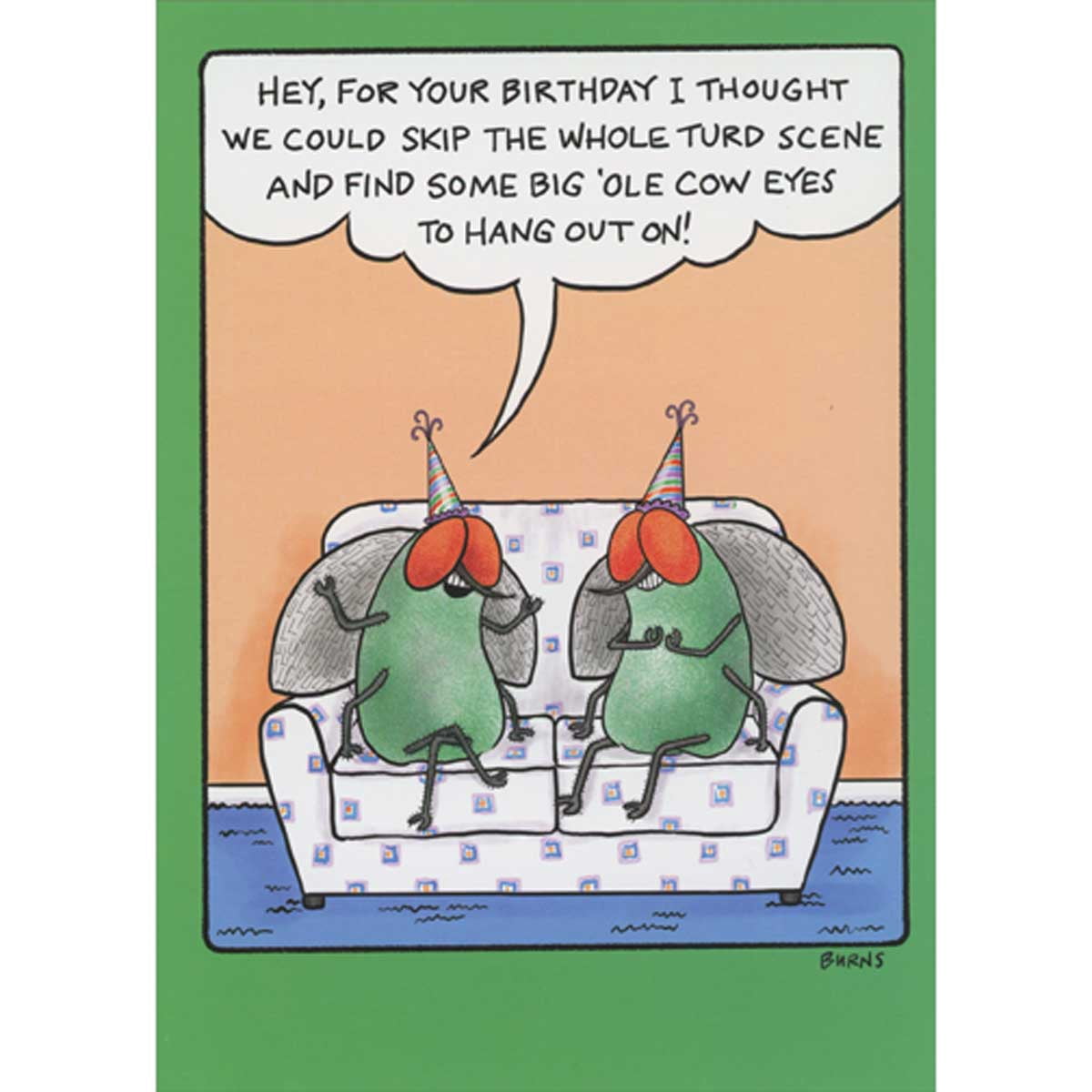 Oatmeal Studios Two Flies Hanging Out on Couch Funny Birthday Card ...