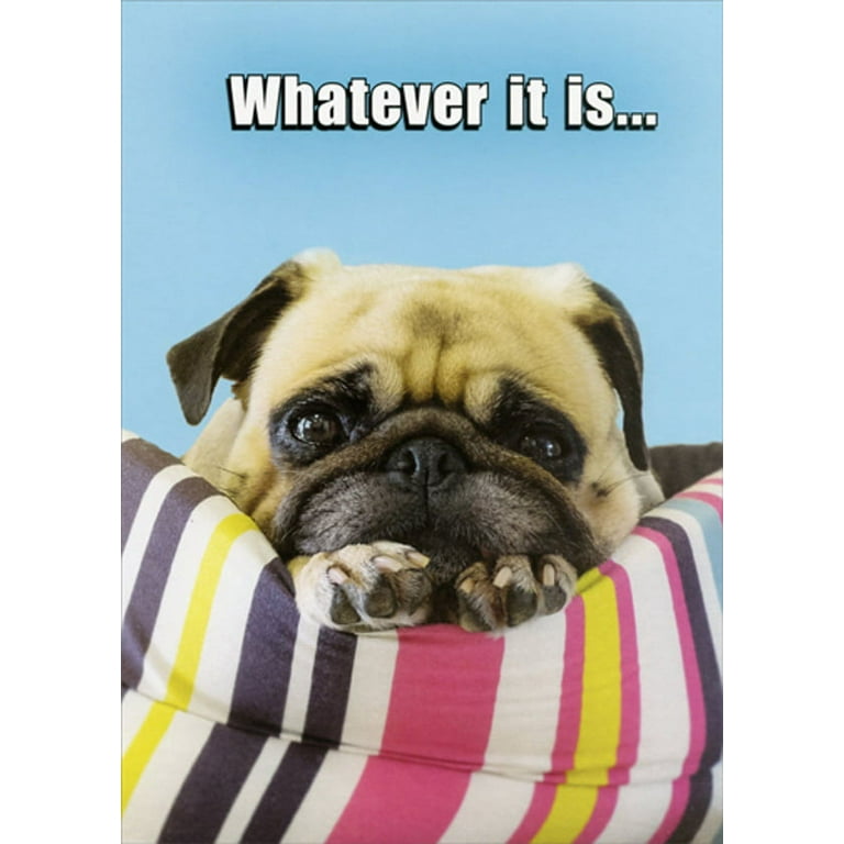 Get Well Soon Cute Puppy