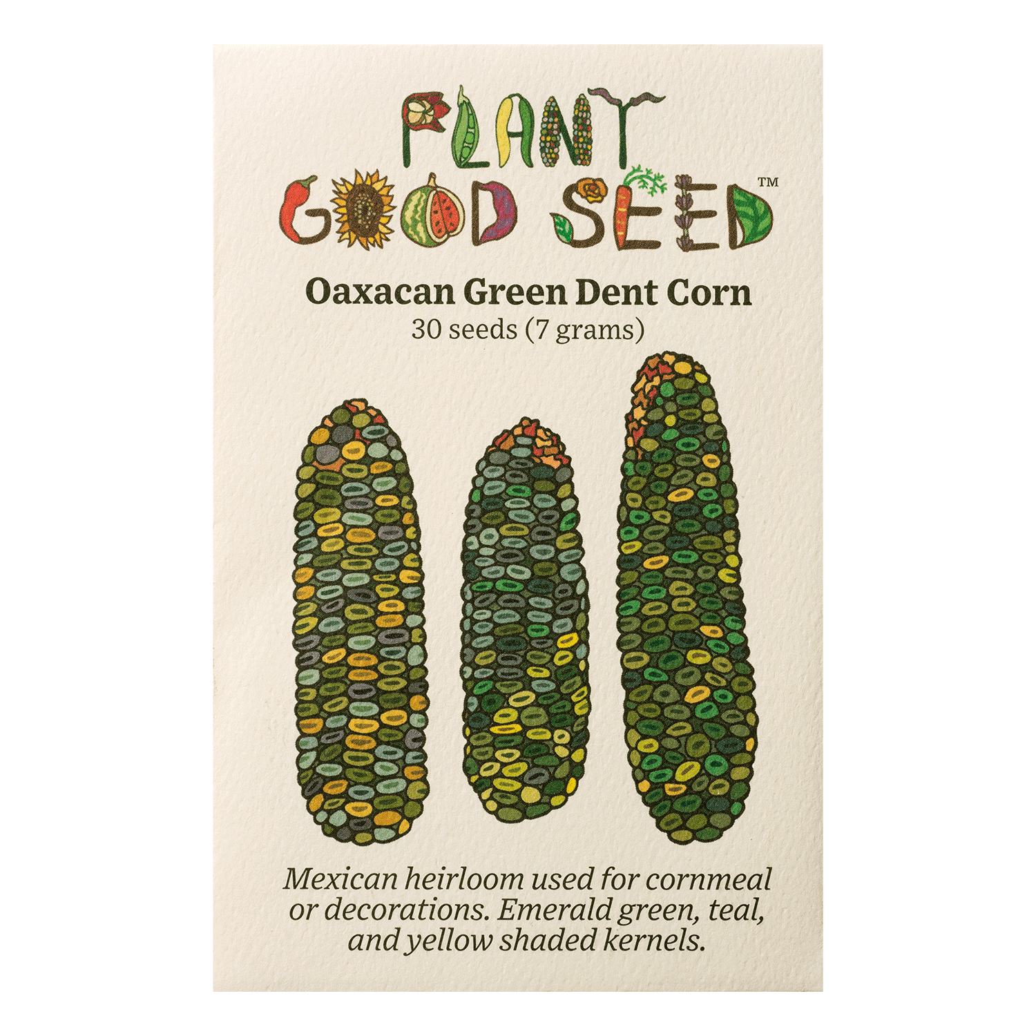 Oaxacan Green Dent Corn Seeds - Walmart.com