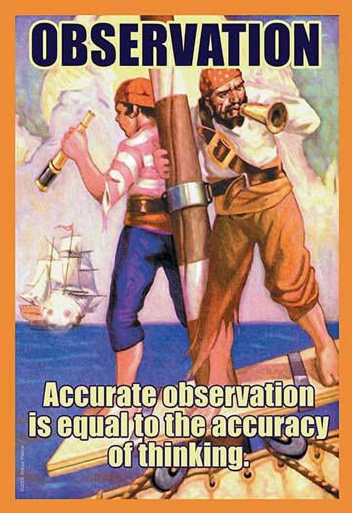 Observation- Fine Art Canvas Print (20" x 30") - Walmart.com