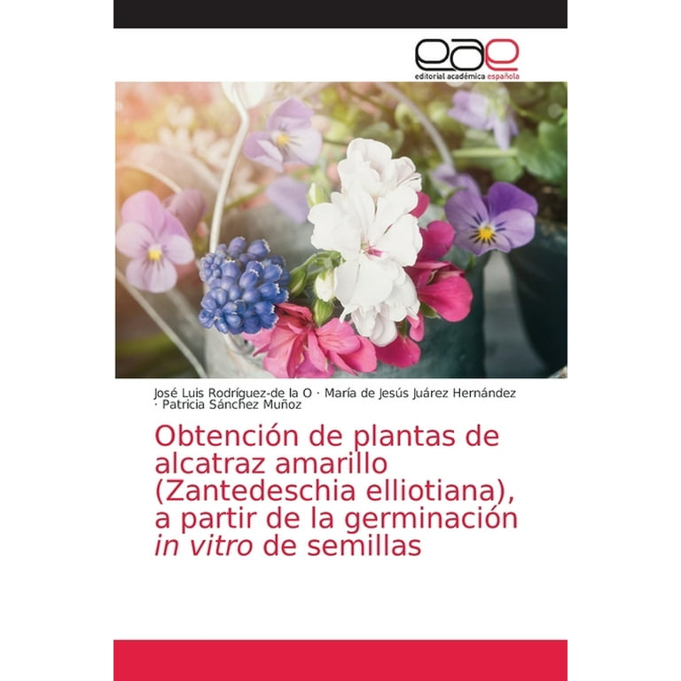 Conoces Las CARACTERISTICAS DE LA FLOR ALCATRAZ?, 48% OFF