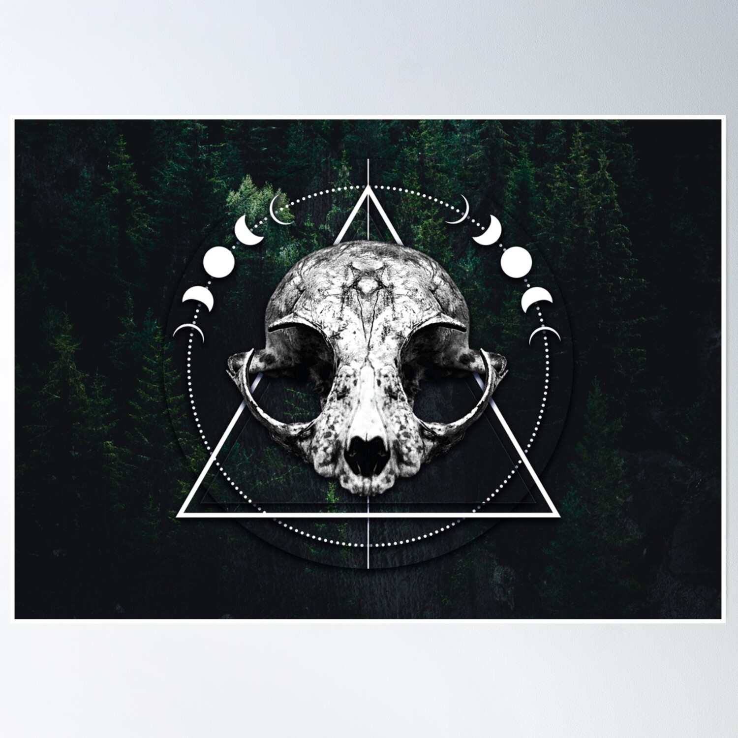 Occult Animal Skull Poster Wall Art, Modern Wall Decor, 16x24 UNFRAMED ...