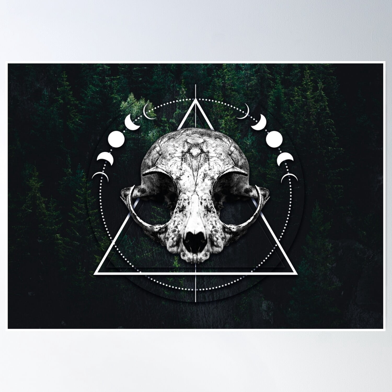 Occult Animal Skull Poster Wall Art, Modern Wall Decor, 24x36 UNFRAMED ...