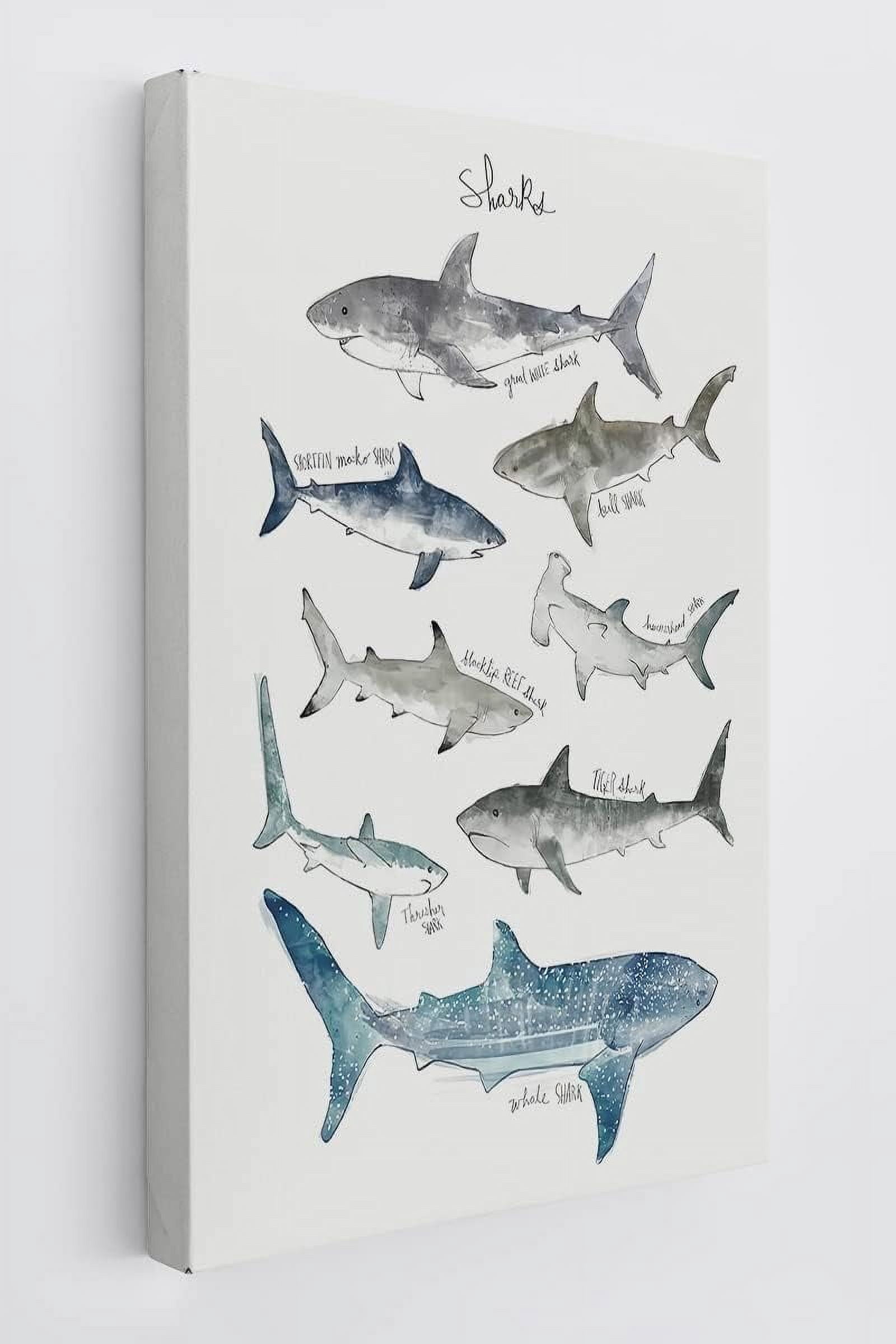 Ocean Animal Watercolor Sharks Educational Chart Wall Art Canvas ...