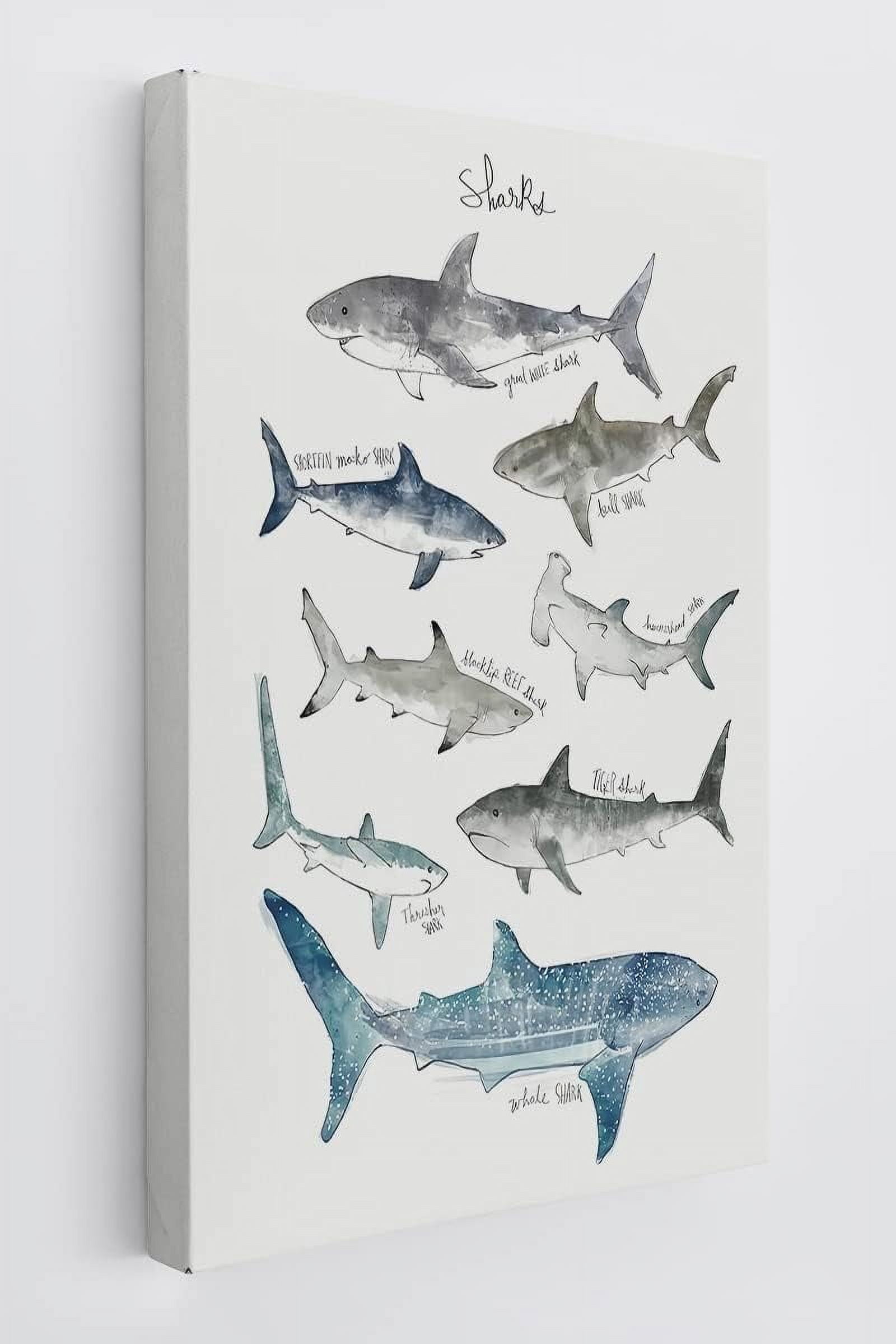 Ocean Animal Watercolor Sharks Educational Chart Wall Art Canvas ...