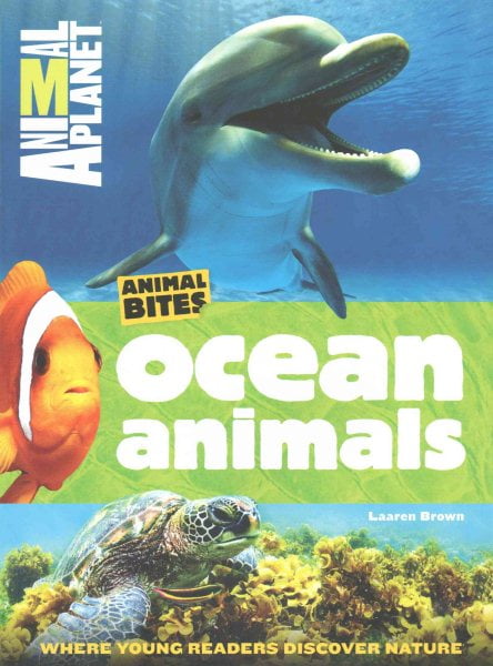 Ocean Animals - Walmart.com