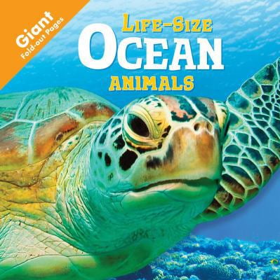 Pre-Owned Ocean Animals (Board book) 1499881851 9781499881851 - Walmart.com