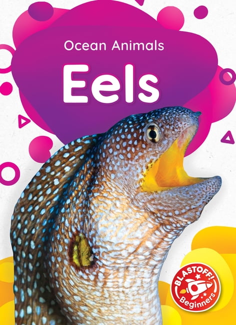 Ocean Animals Eels, (Hardcover) - Walmart.com