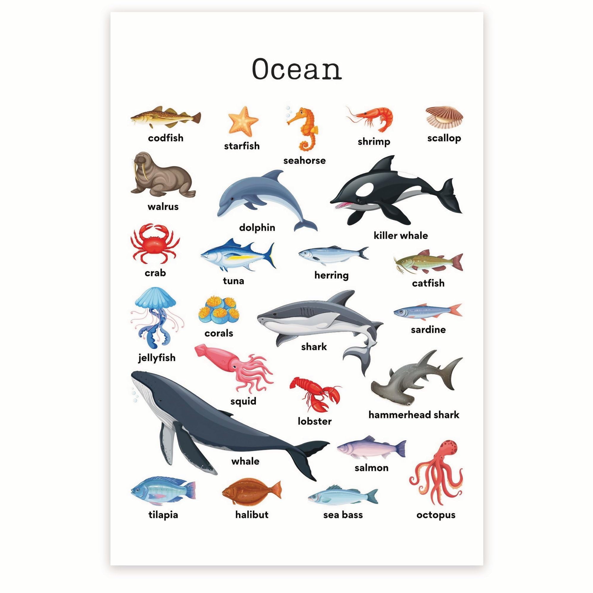 Ocean Animals Poster - Ocean Creatures Ocean Wildlife - Learning Sea ...