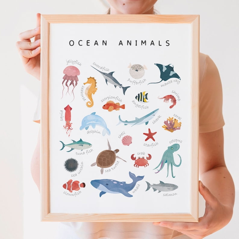 Ocean Animals Poster, Montessori Materials, Montessori Educational ...