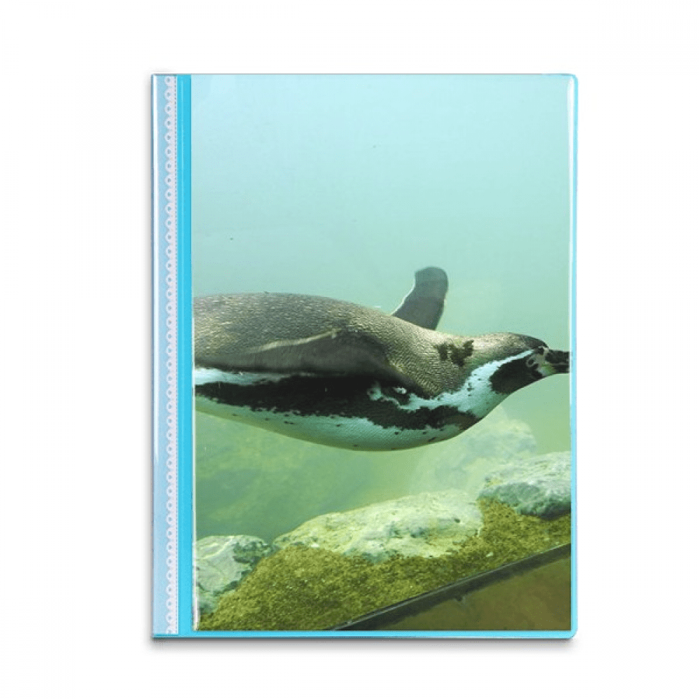 Ocean Antarctic Penguin Science Nature Picture Book Sheet Protectors ...