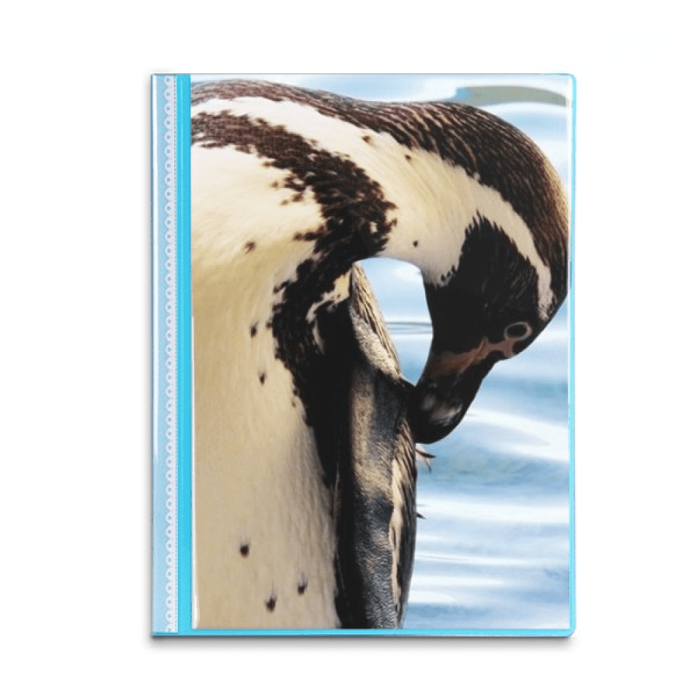Ocean Antarctic Penguin Science Nature Picture Book Sheet Protectors ...
