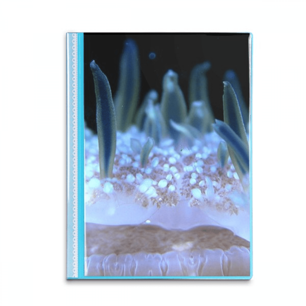 Ocean Blue Jellyfish Science Nature Book Sheet Protectors Portfolio ...