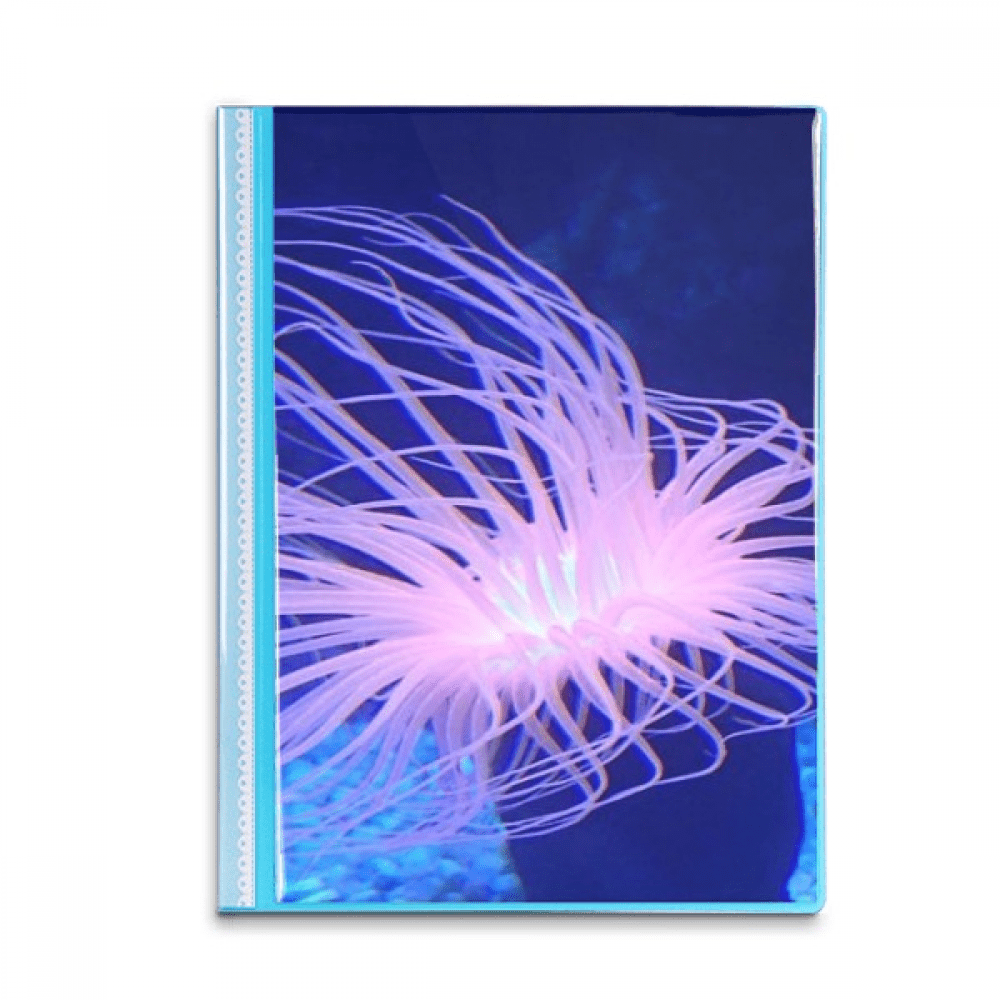 Ocean Blue Jellyfish Science Nature Book Sheet Protectors Portfolio ...