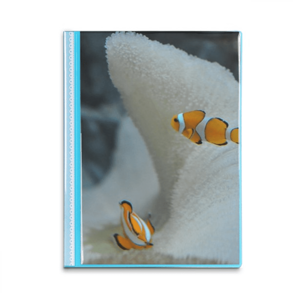 Ocean Clownfish Fish Science Nature Picture Book Sheet Protectors ...