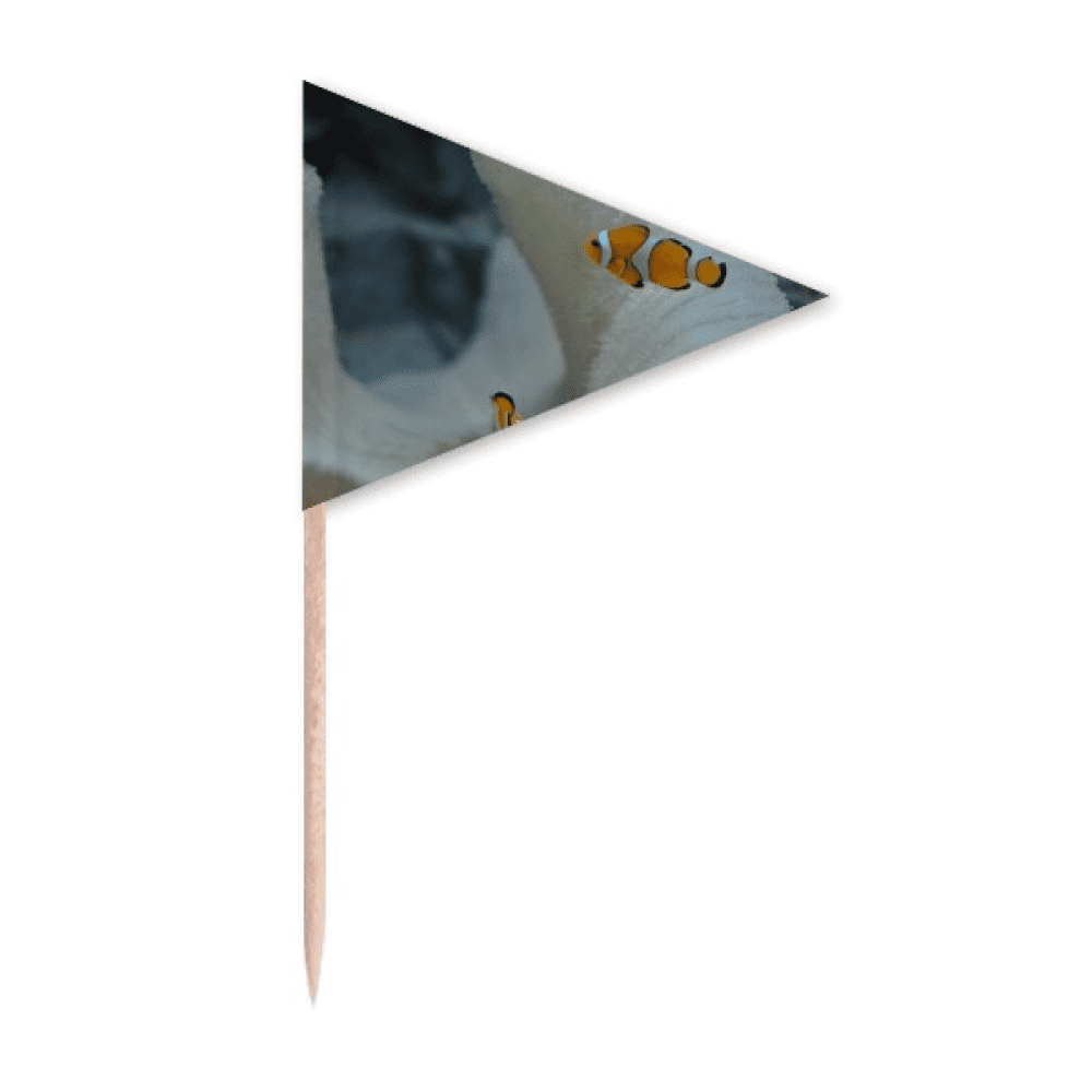Ocean Clownfish Fish Science Nature Picture Toothpick Triangle Cupcake ...