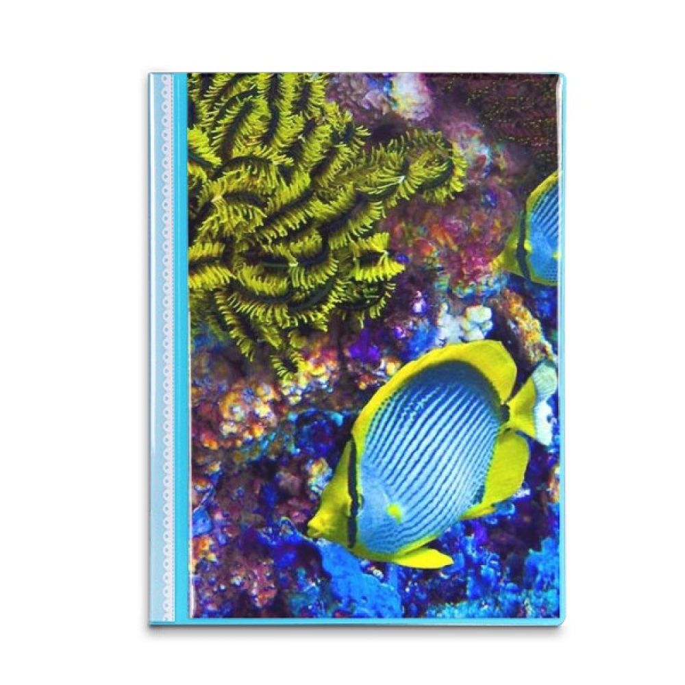 Ocean Colorful Fish Science Nature Picture Book Sheet Protectors ...