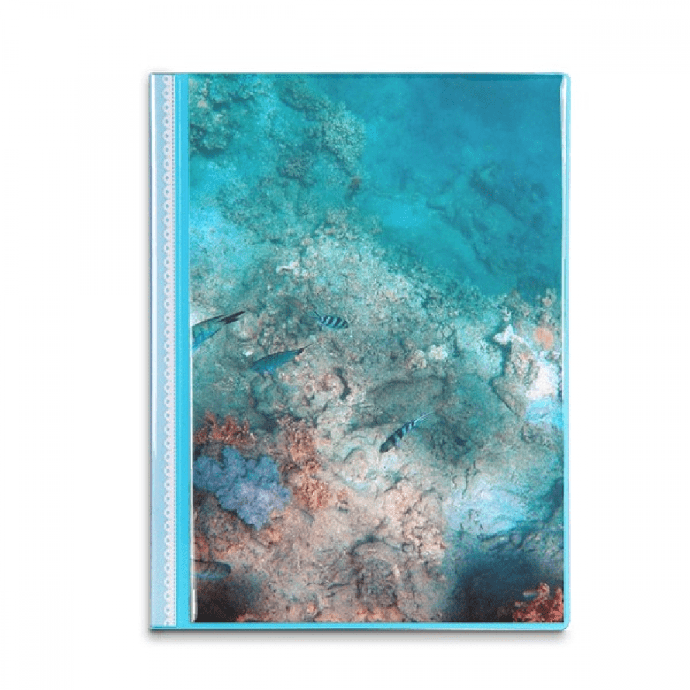 Ocean Colorful Fish Science Nature Picture Book Sheet Protectors ...