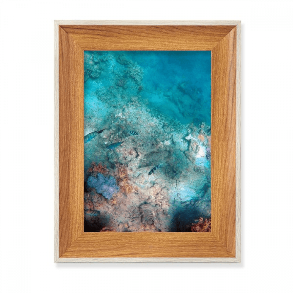 Ocean Colorful Fish Science Nature Picture Desktop Wooden Photo Frame ...