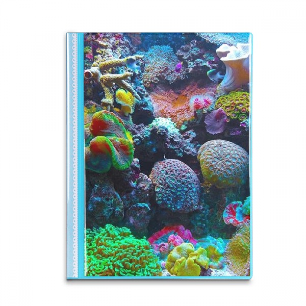 Ocean Colorful Science Nature Picture Book Sheet Protectors Portfolio ...