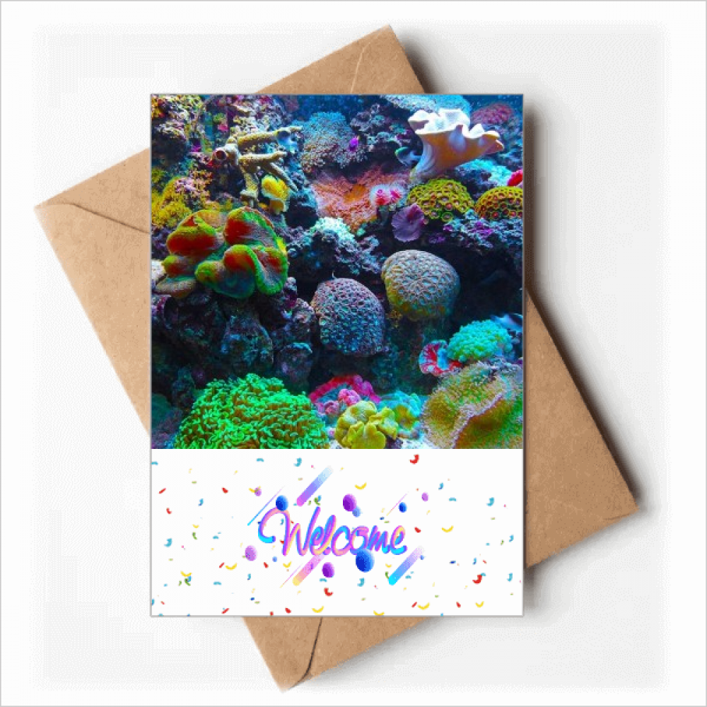 Ocean Colorful Science Nature Picture Welcome Back Greeting Cards ...