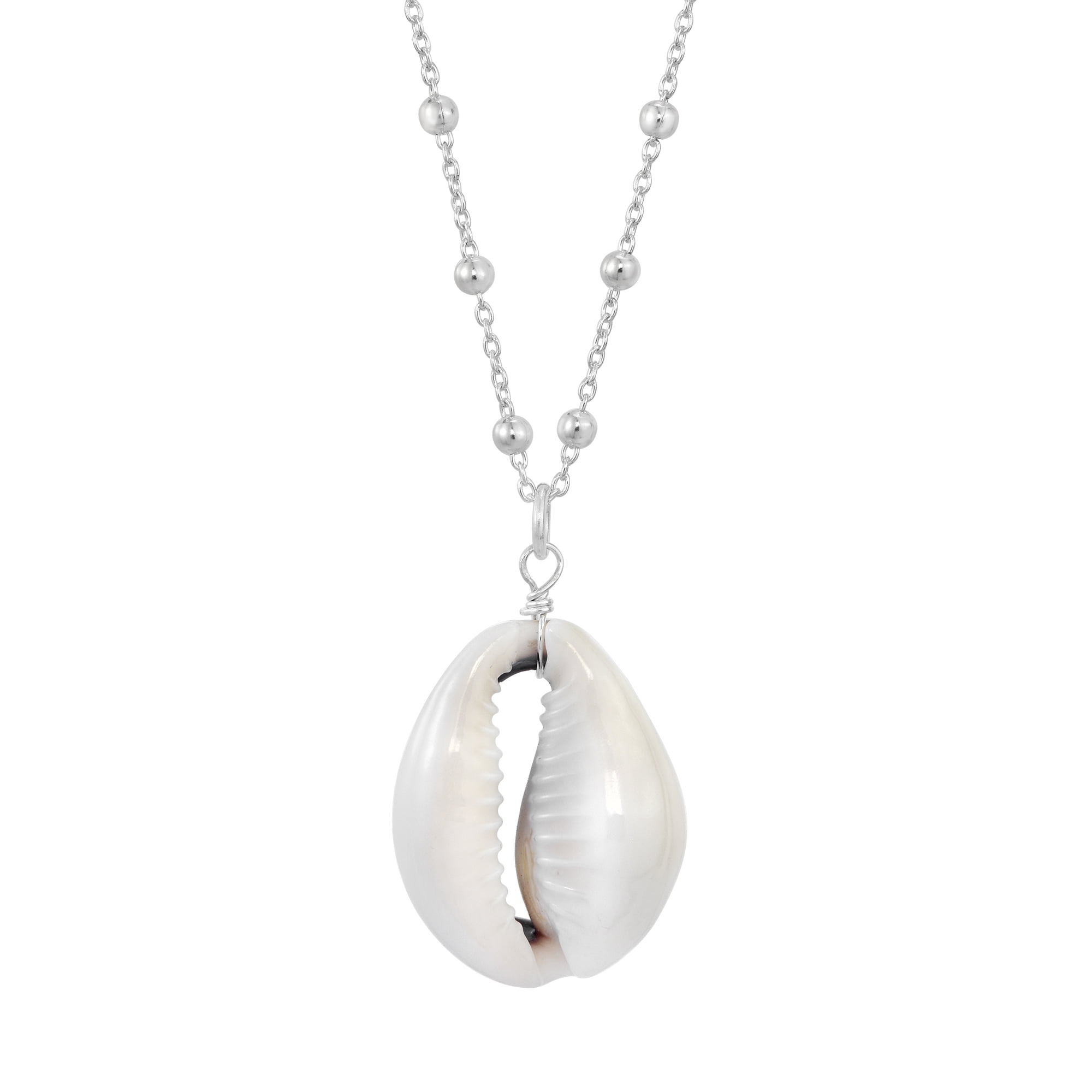 Ocean Cowrie Coffee Bean Seashell and Sterling Silver Satellite Chain ...