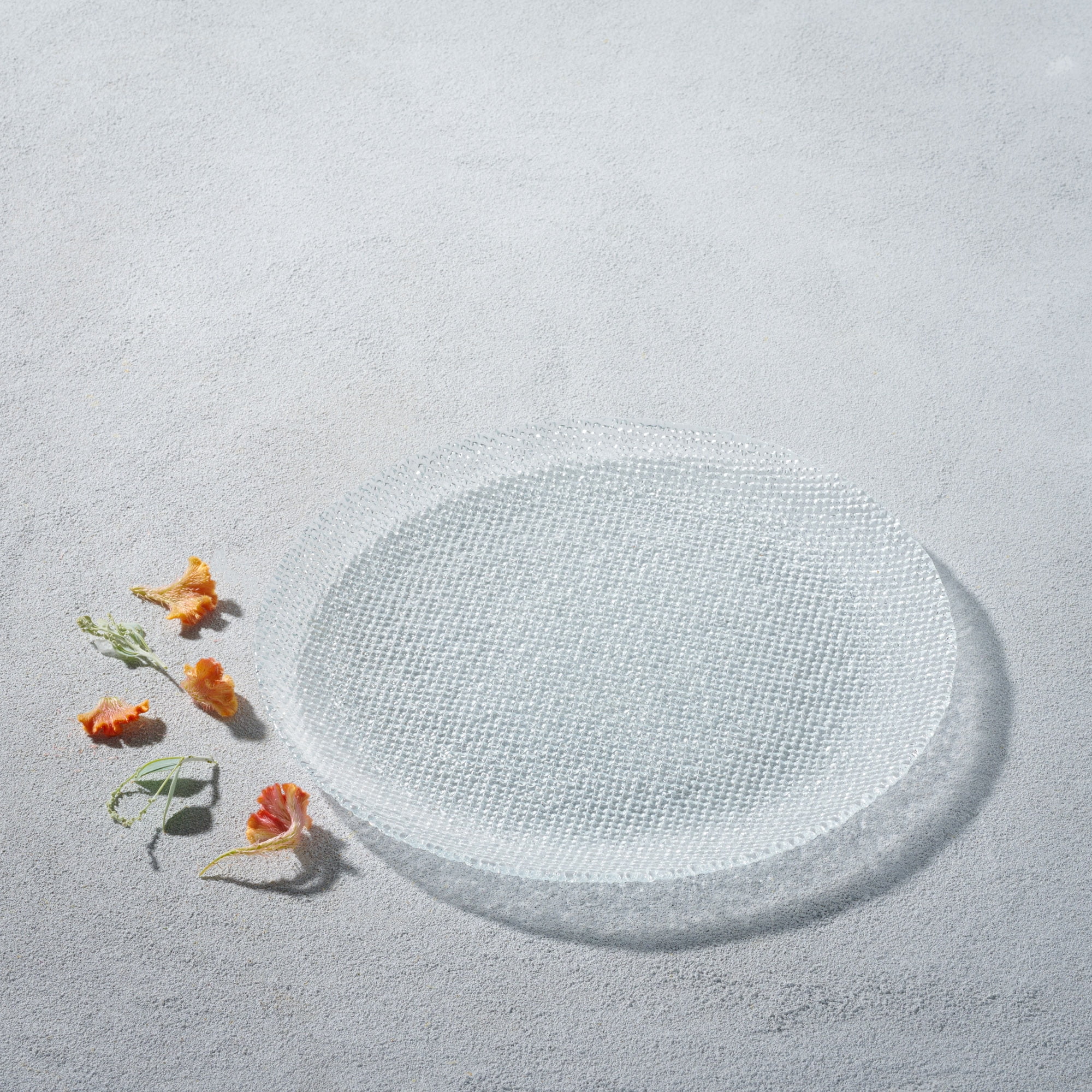 Ocean Decor Glass Dinner Plates: Set of Four Clear Glass Plates - Fancy ...
