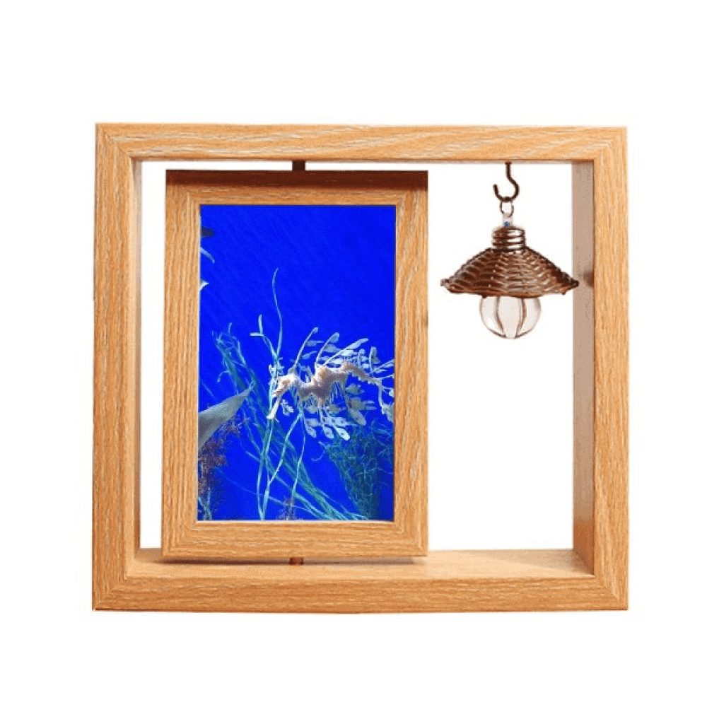 Water Picture Frame