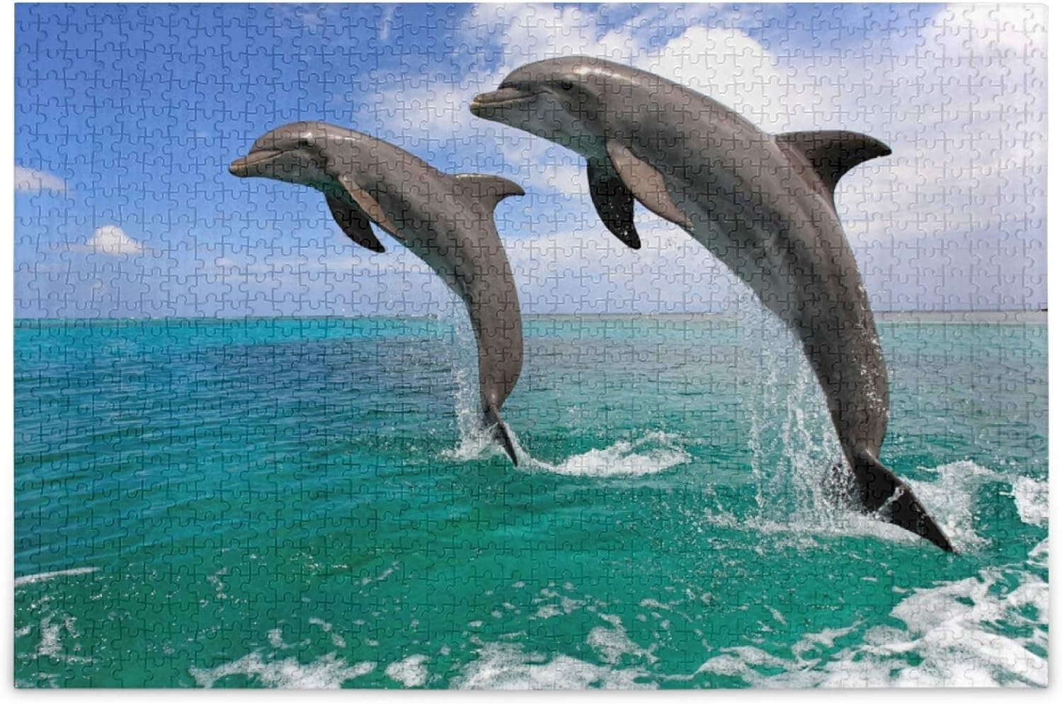 Ocean Dolphin - Dolphins Jumping Out of Water Off The Crimea Coast ...