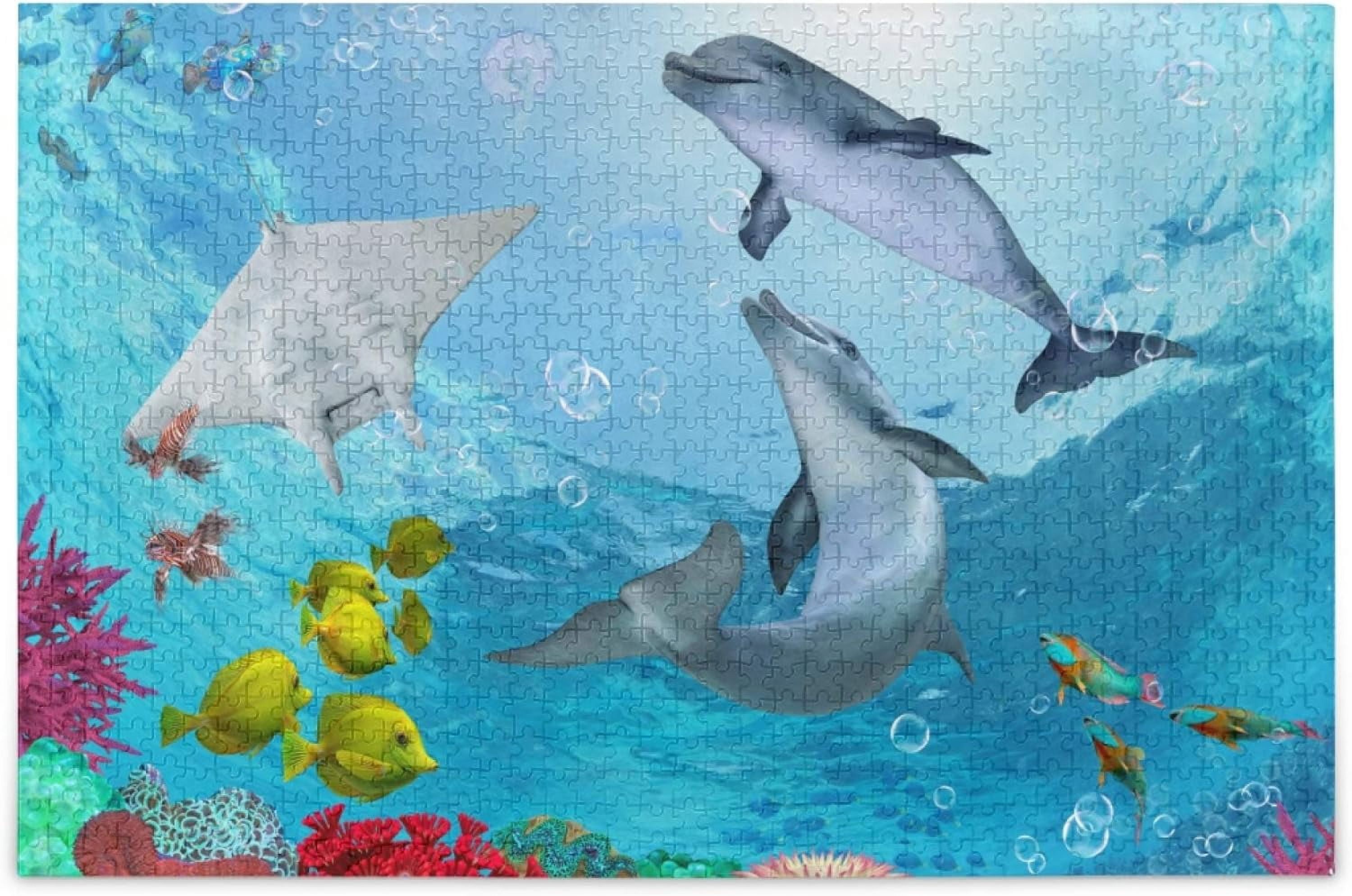 Ocean Dolphin - Dolphins Swims in Underwater with Fishes Coral Reef ...