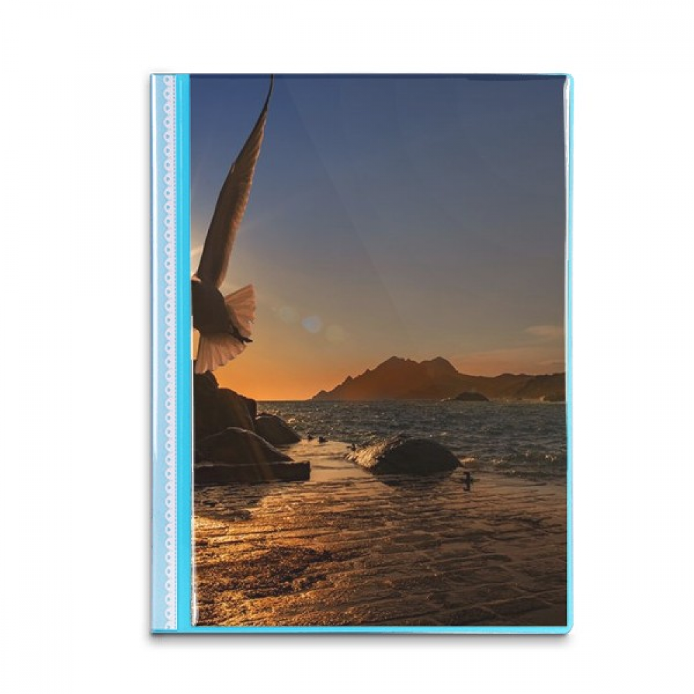 Ocean Eagle Science Nature Picture Book Sheet Protectors Portfolio ...