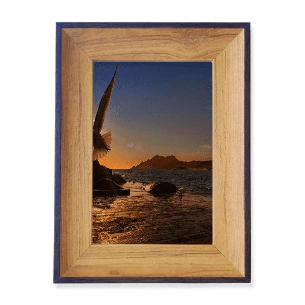 Ocean Eagle Science Nature Picture Photo Frame Exhibition Display Art ...