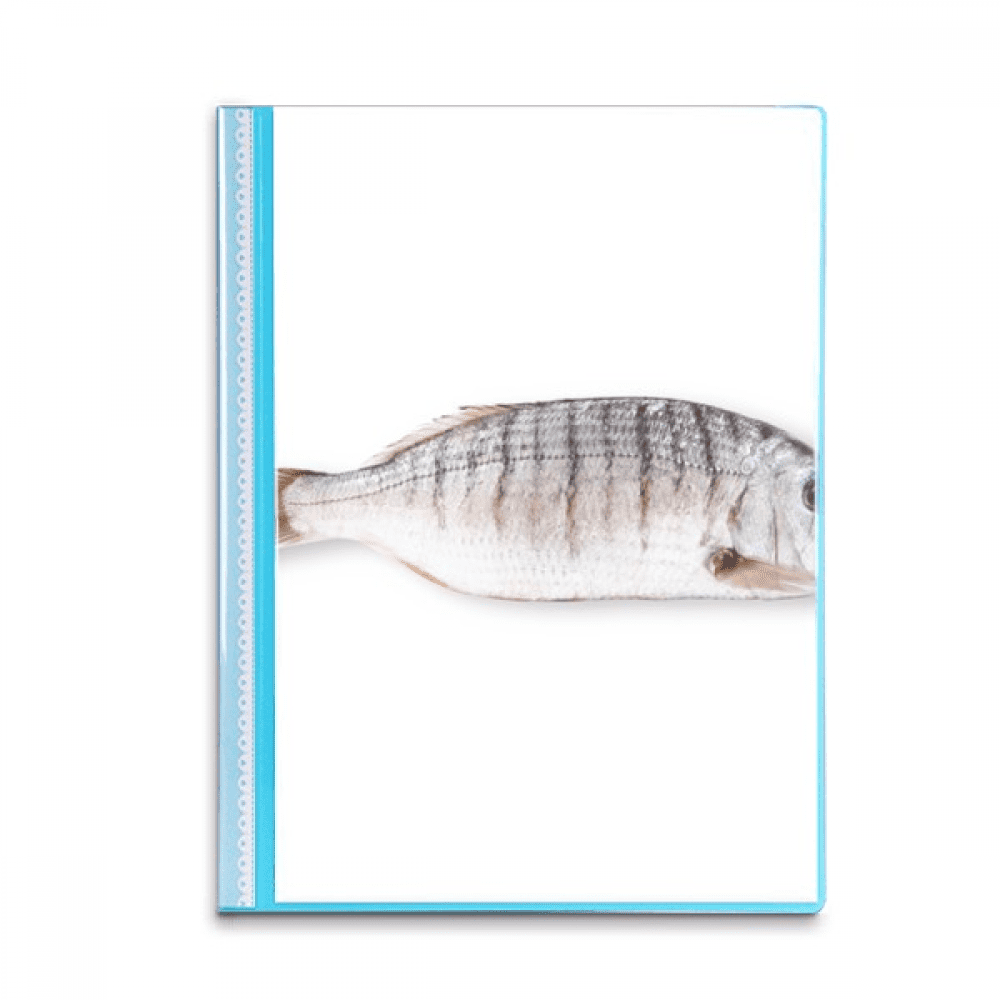 Ocean Fish Activity Curly Book Sheet Protectors Portfolio Binder Folder ...