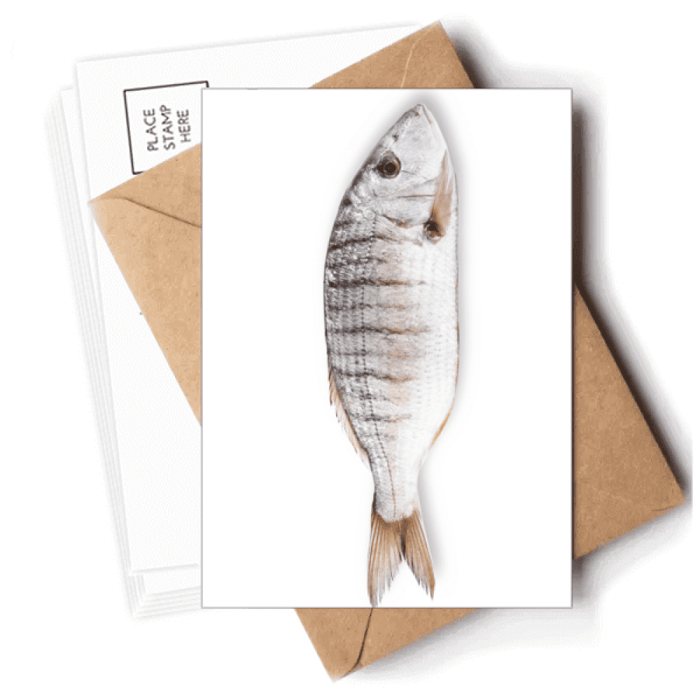 Ocean Fish Activity Curly Postcards Envelopes Blank Note Cards Mailing ...