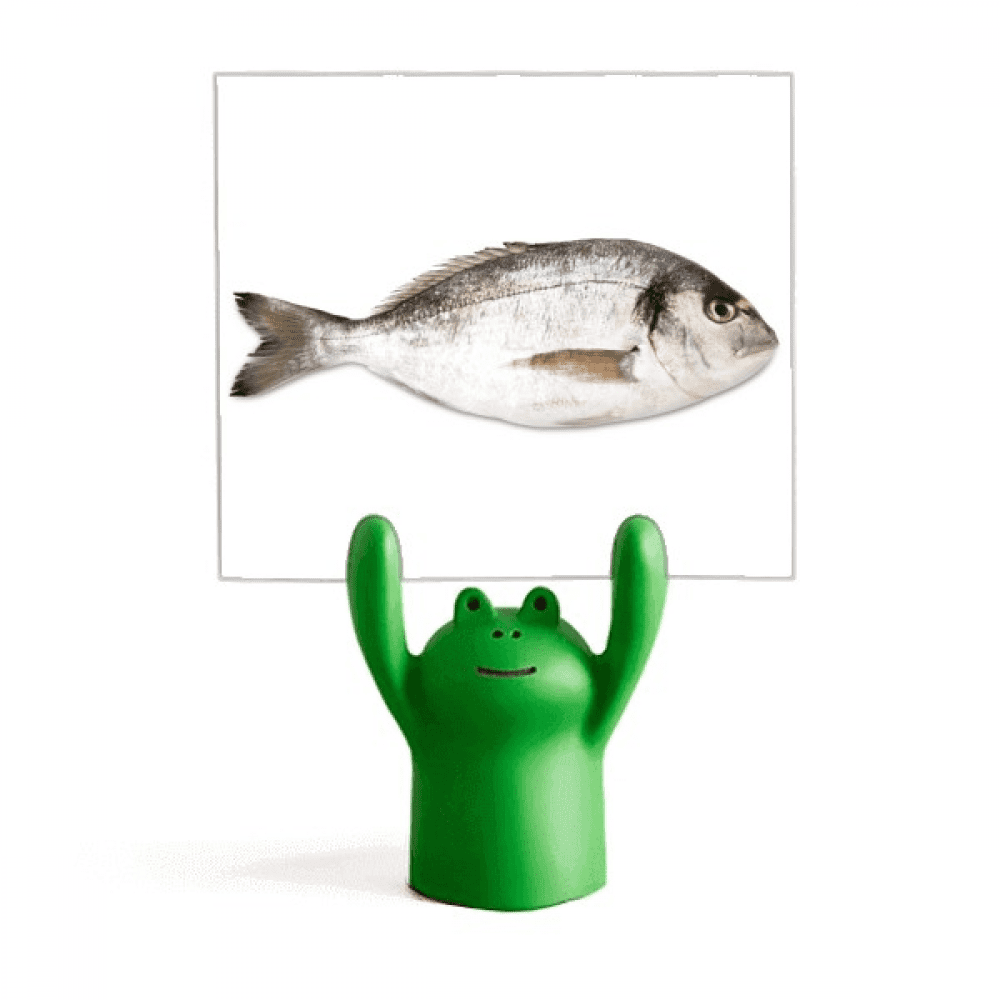 Ocean Fish Activity Food Red Memo Holder Cartoon Animal Frog Stand ...