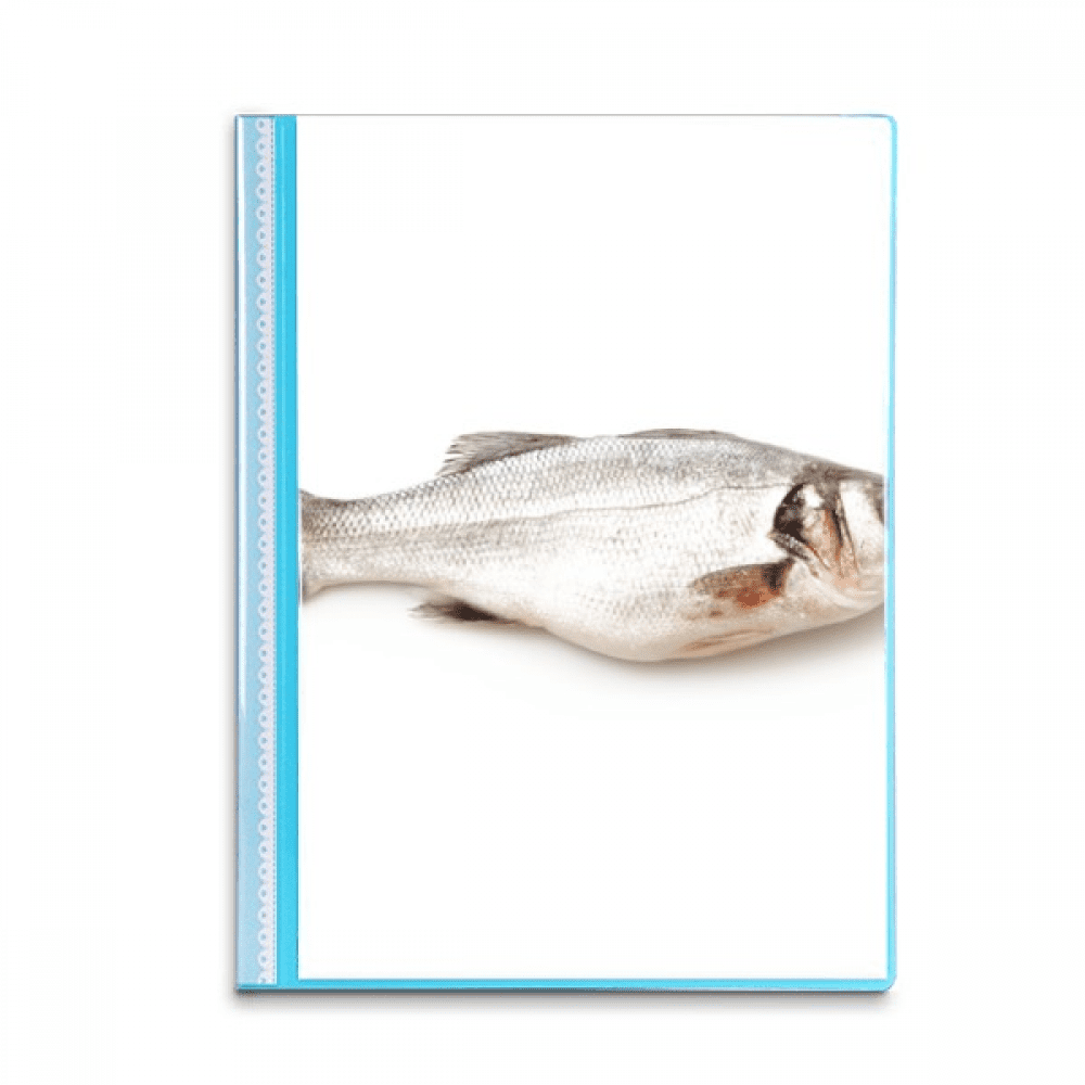 Ocean Fish Alive Activity Book Sheet Protectors Portfolio Binder Folder ...