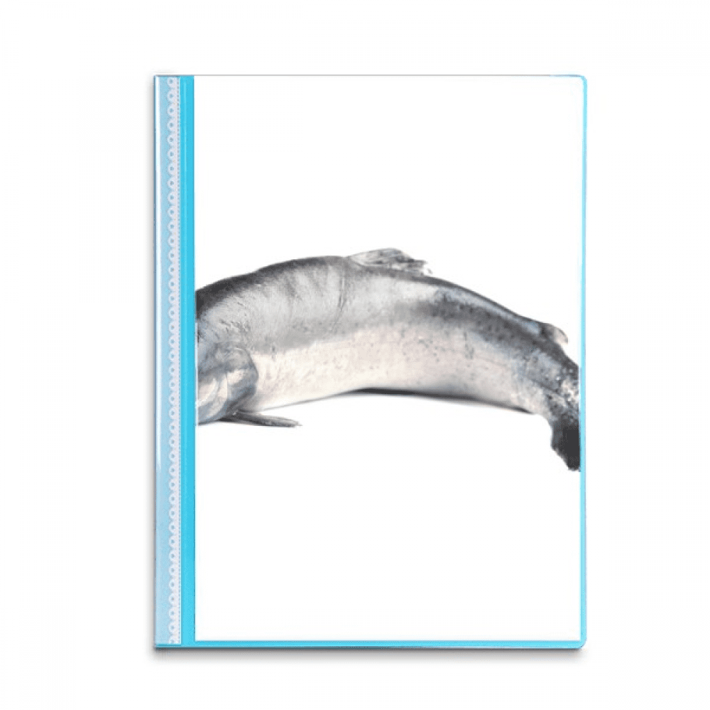 Ocean Fish Alive Activity Curly Book Sheet Protectors Portfolio Binder ...