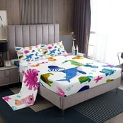 Dolphin Sheets