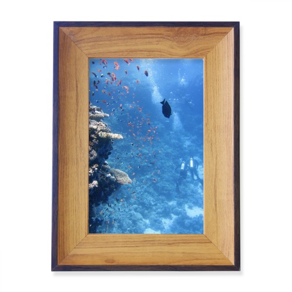 Ocean Fish Diving Science Nature Picture Photo Frame Exhibition Display ...