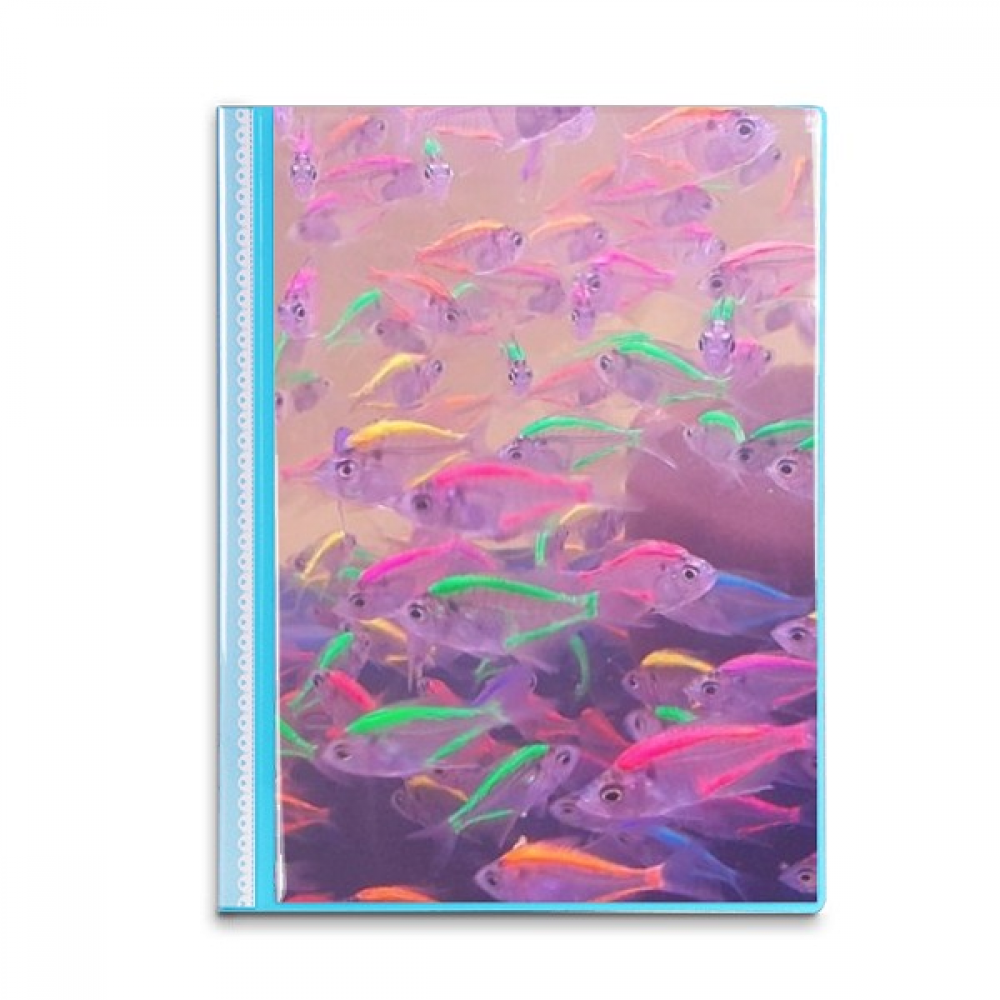 Ocean Fish Science Nature Picture Book Sheet Protectors Portfolio ...