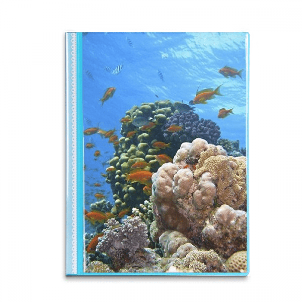 Ocean Fish Science Nature Picture Book Sheet Protectors Portfolio ...
