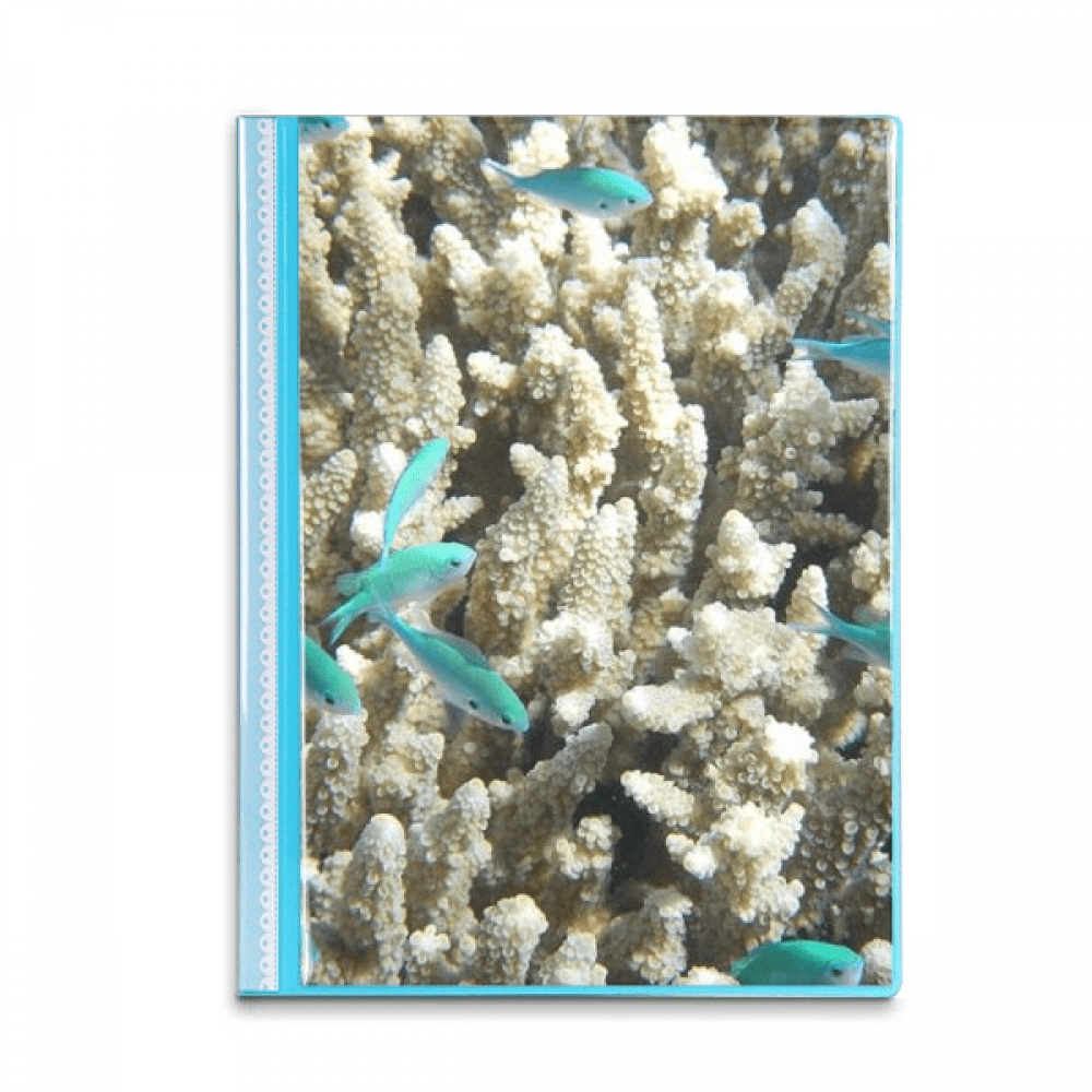 Ocean Fish Science Nature Picture Book Sheet Protectors Portfolio ...