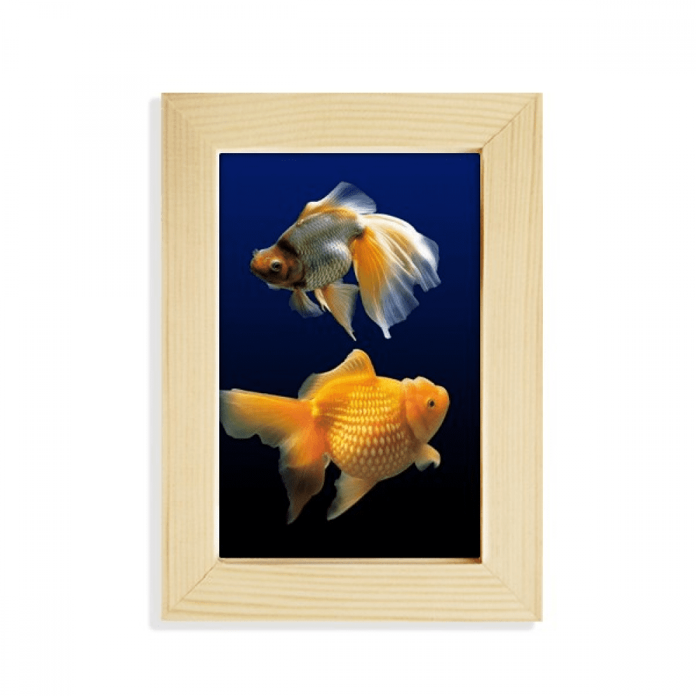 Ocean Fish Science Nature Picture Desktop Display Photo Frame Picture ...
