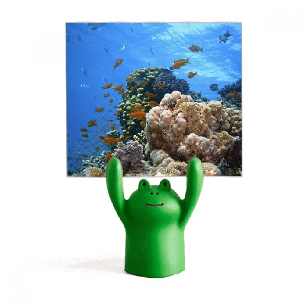 Ocean Fish Science Nature Picture Memo Holder Cartoon Animal Frog Stand ...